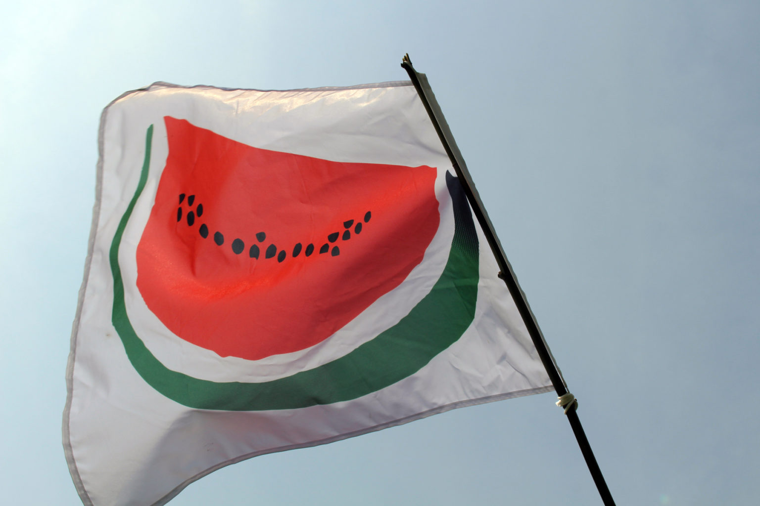 Watermelon flag - Disarming Design